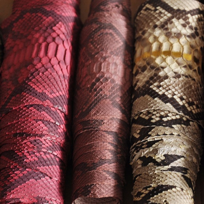 Interesting Things About Snakeskin (Pythons Skin) You Never Knew