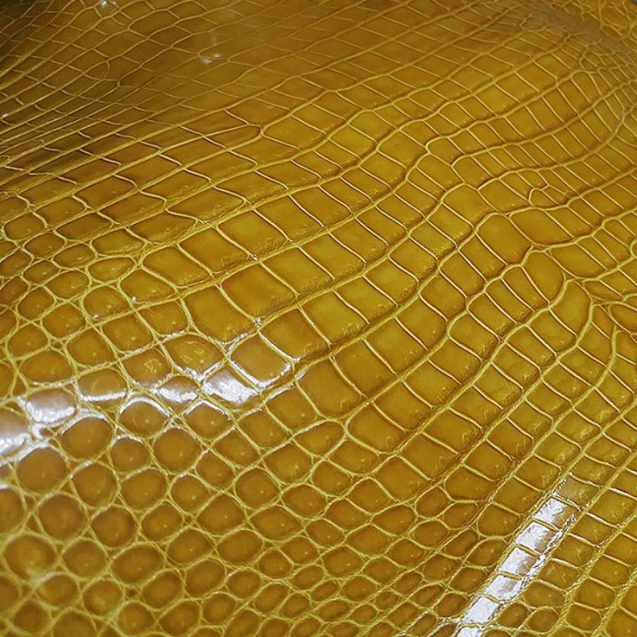 Explore the Different Types of Exotic Skin | A Comprehensive Guide