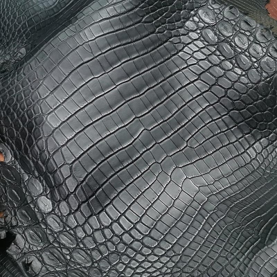 Explore the Different Types of Exotic Skin | A Comprehensive Guide