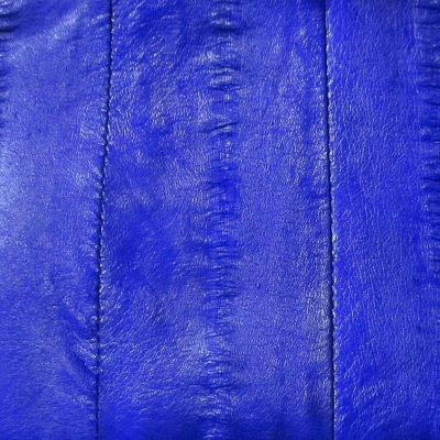 Explore the Different Types of Exotic Skin | A Comprehensive Guide