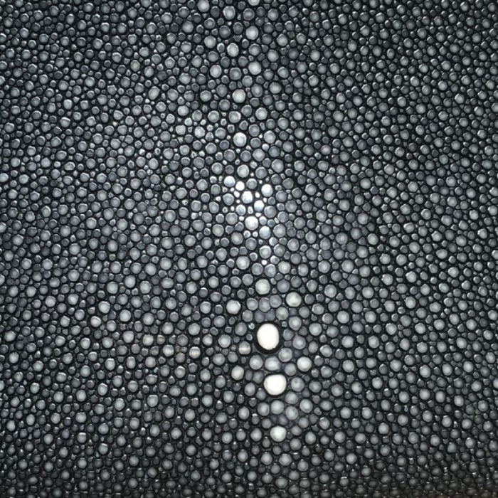 Explore the Different Types of Exotic Skin | A Comprehensive Guide